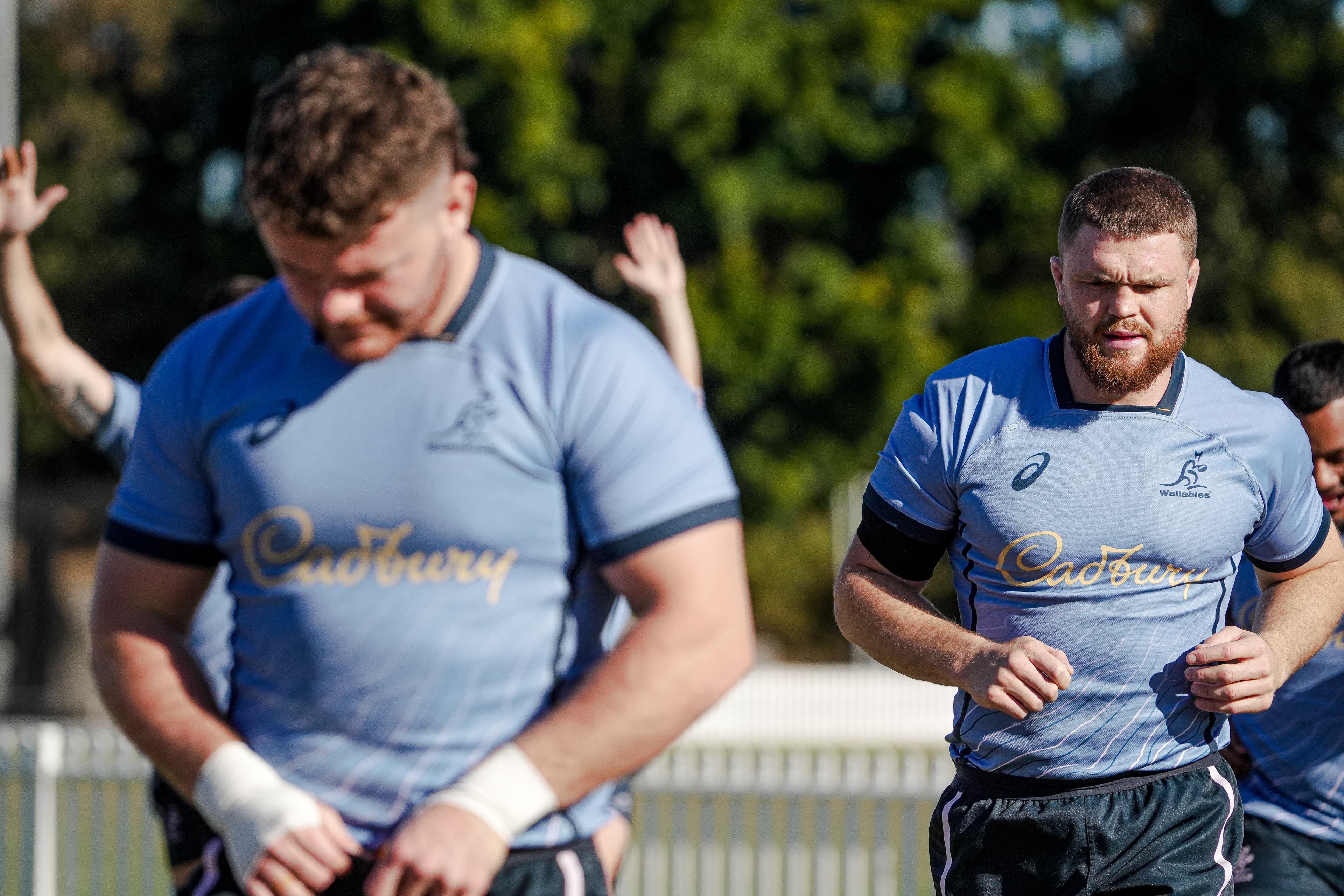 Scrum success and Scotland links as Waratahs prop Tom Lambert steps ...